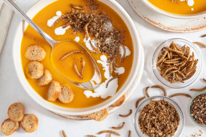 ZIRP Insects - Insekten zum Kochen & Snacken